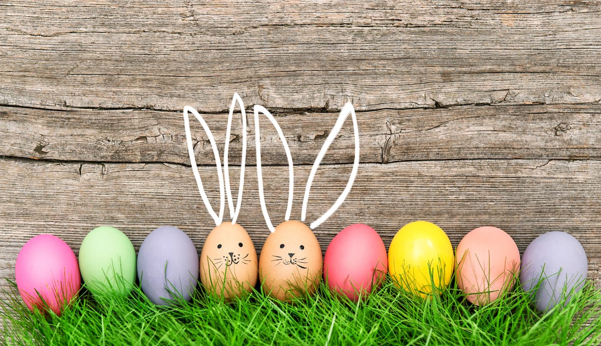 Easter egg sunday store